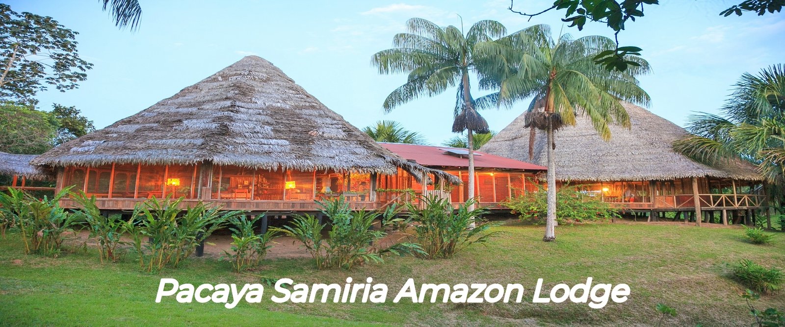 Pacaya Samiria Amazon Lodge - Amazon River Expeditions
