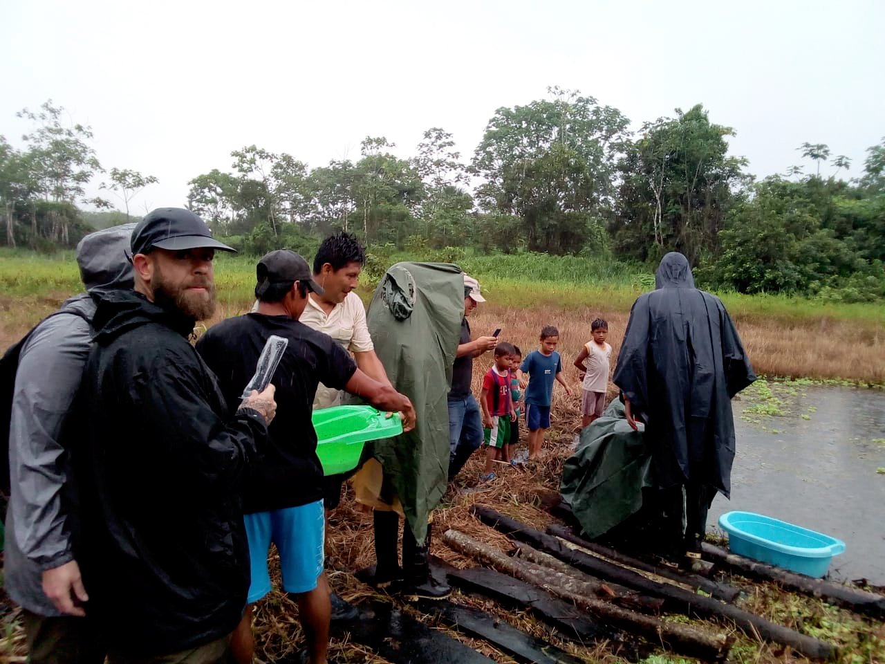 Taricaya Turtle repopulation program - Amazon River Expeditions