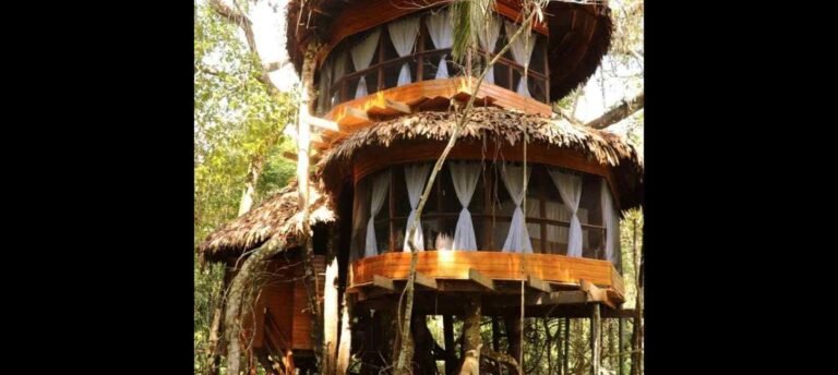 Treehouse Lodge Peru Amazon | Unique Treehouse Hotel Near Iquitos