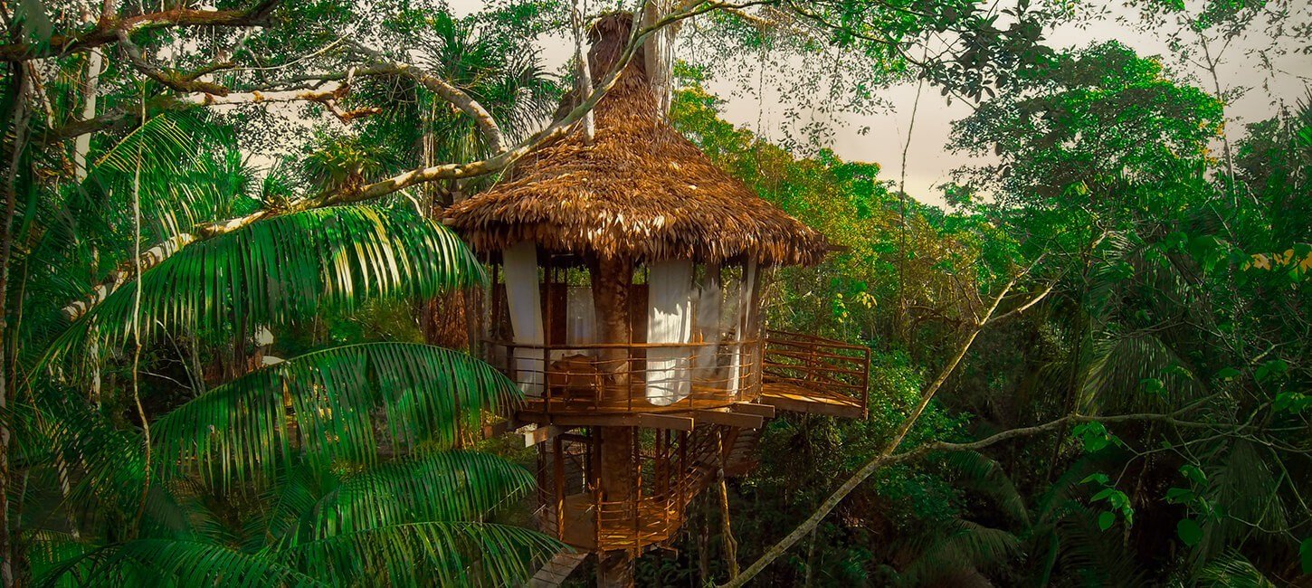 Treehouse Lodge Peru Amazon | Unique Treehouse Hotel Near Iquitos